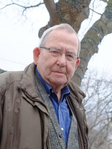 Measuring the value of damaged beauty in Toronto’s trees: Fiorito