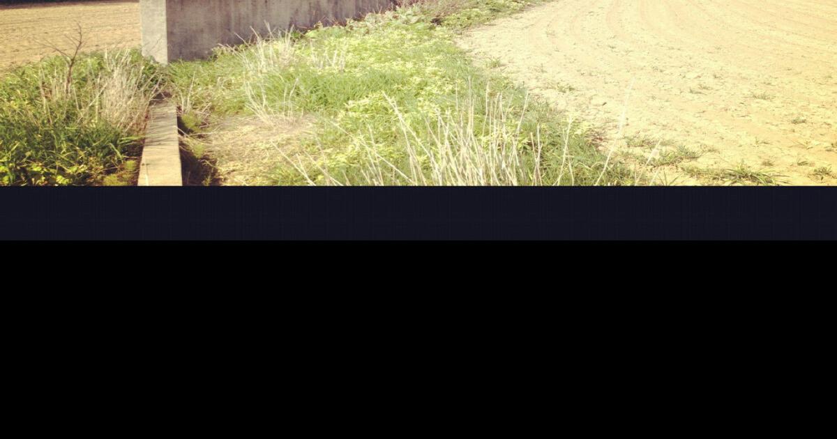 Shift in heritage: Richard Serra sculpture has uncertain future: Micallef