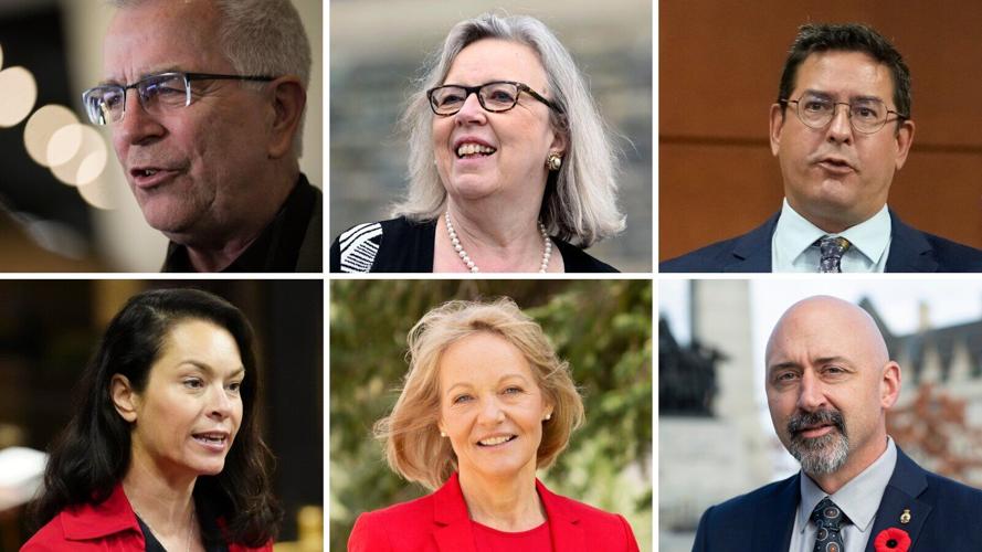2024 was a wild year. These stories made us smile