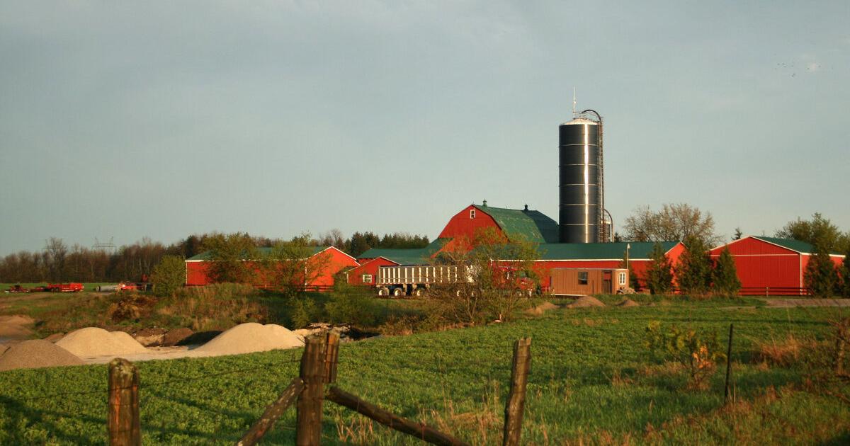 Big farms bulking up, Richard Ivey study finds