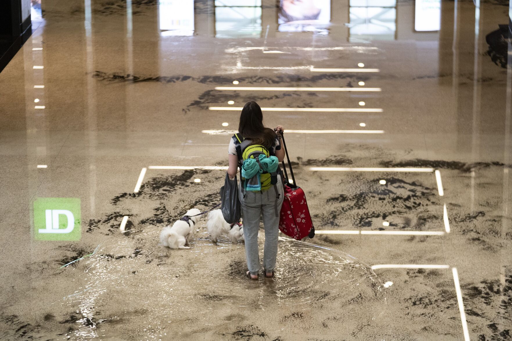 A ‘100-year storm’? Flood floats big questions for Toronto