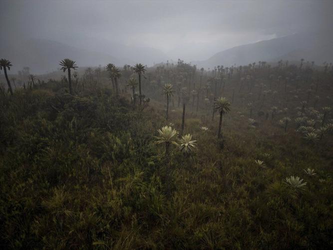 Colombia's capital ends drought-related water rationing. Its case is a ...