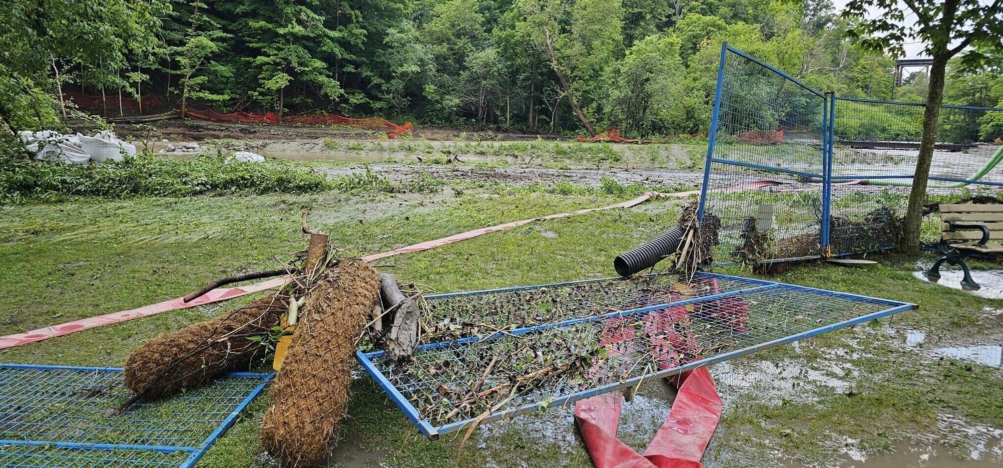 Storm devastated Don Valley, endangering Toronto wildlife