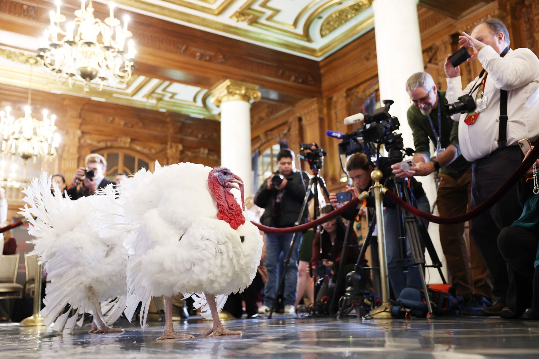 News from the Star you should know on Wednesday, Nov. 26, 2025