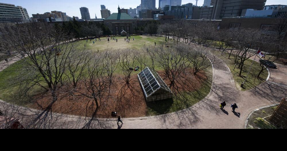 Ryerson University: Urban revolution