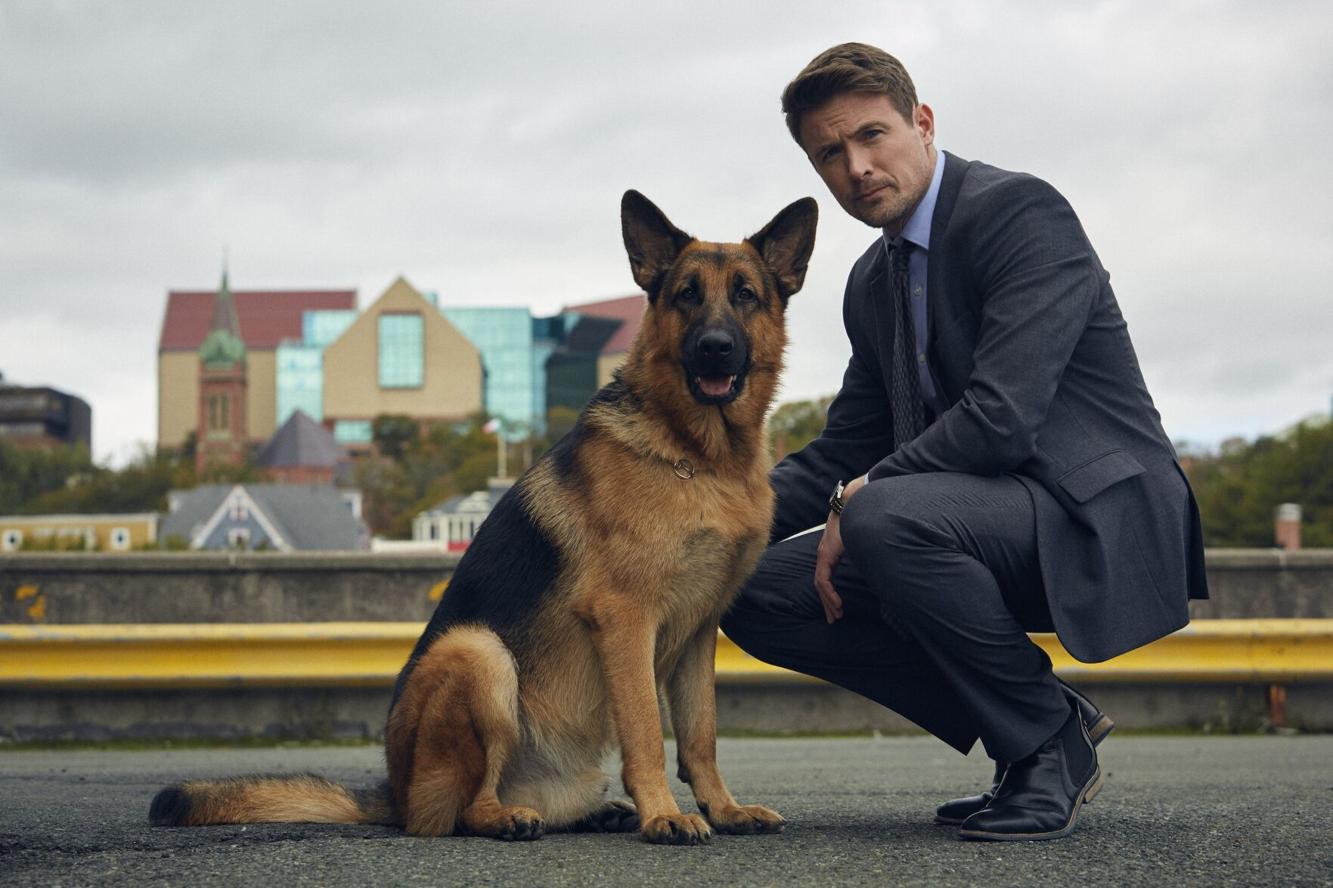 Hudson & Rex producers on John Reardon cancer controversy