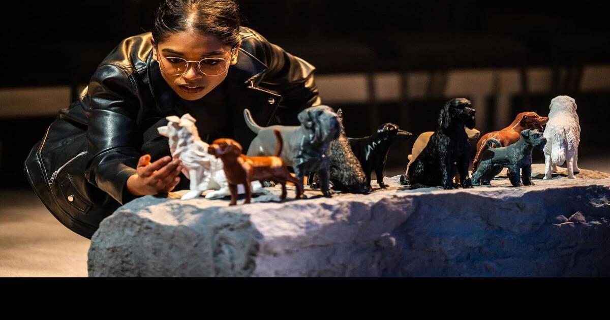 Crow’s Theatre’s ‘Fifteen Dogs’ a must-see, even for cat people