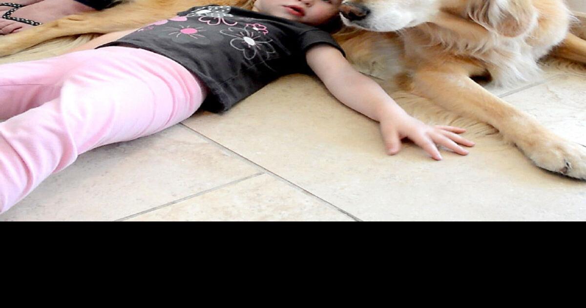 Meet McDonald’s Canada founder George Cohon’s therapy dogs, Tilly and Simmy