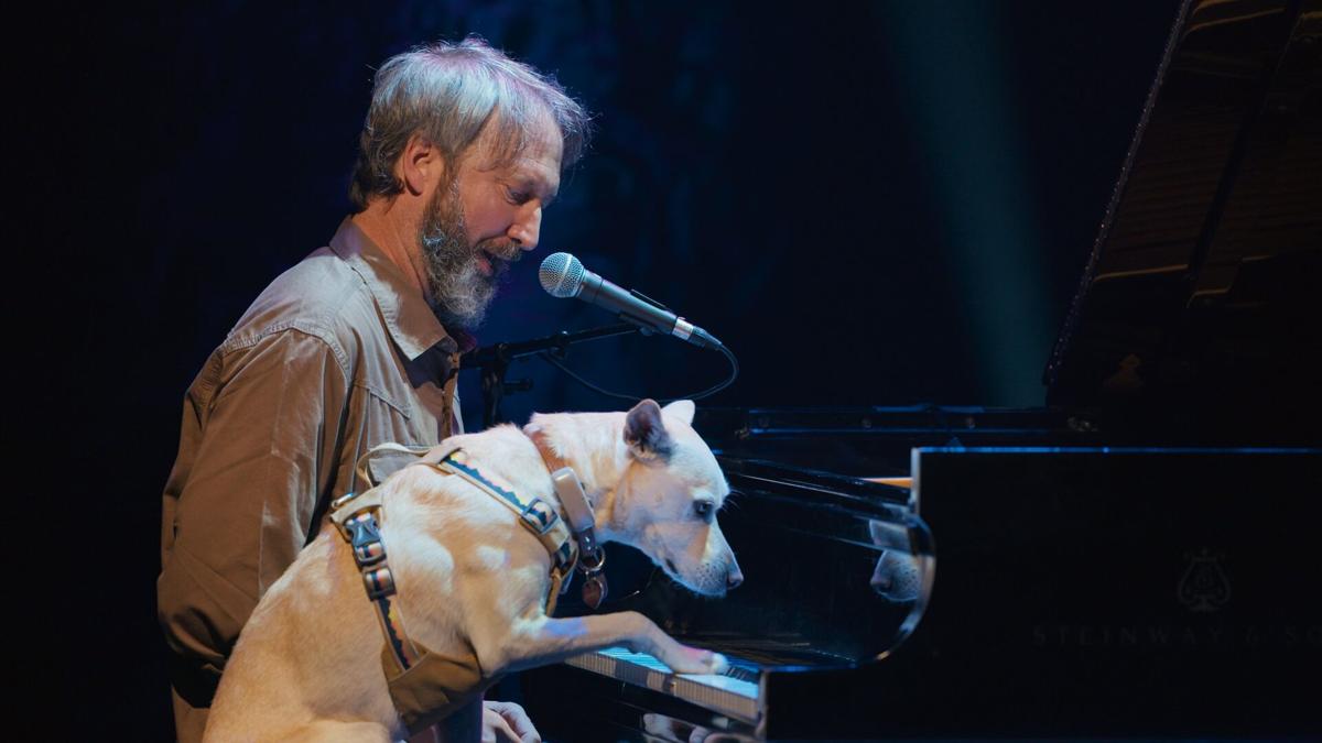 Tom Green returns with new doc, reality show, comedy special