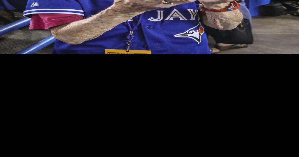 Kitty Cohen, 101 throws first pitch at Jays’ game