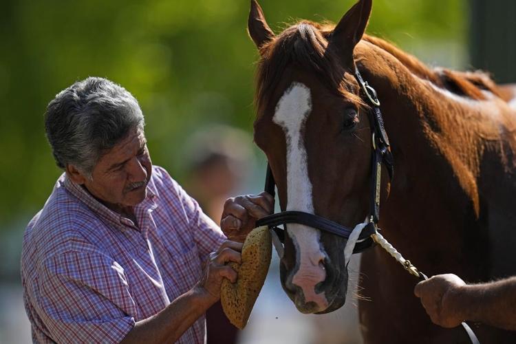 Triple Crown hopeful Mage heads to the Preakness with hundreds of owners cheering him on