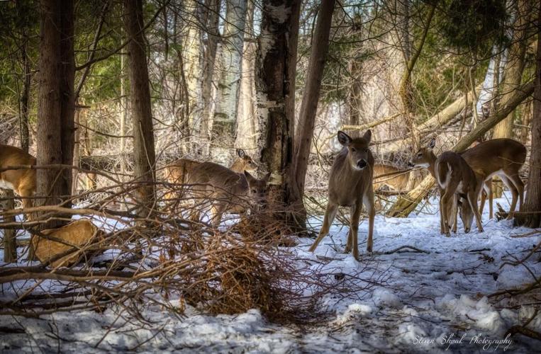 Toronto photographer captures the beauty of the Don River