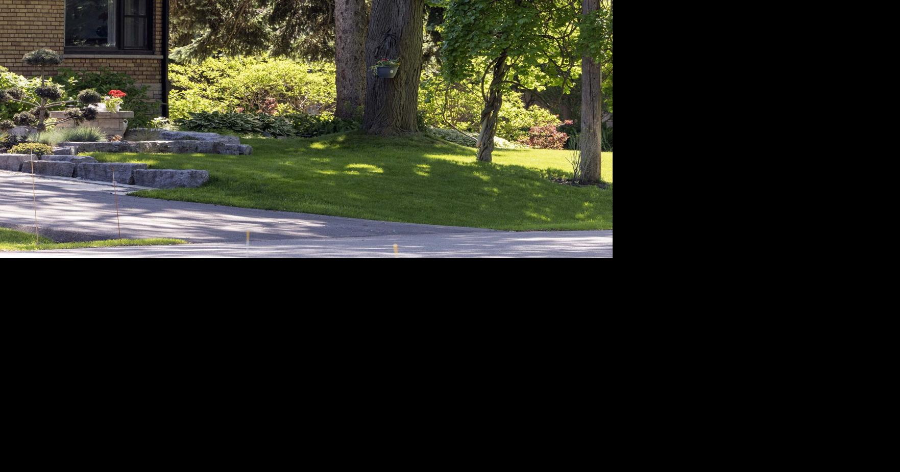 In defence of the lawn