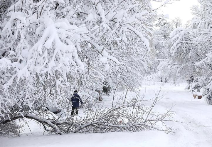 Storms dump heavy snowfall in northern Arizona after leaving California ...