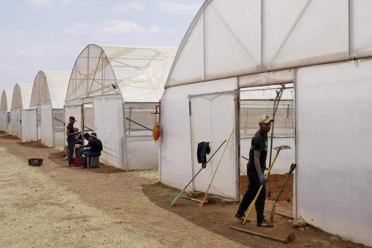 A farming project in South Africa is helping deaf people build skills ...