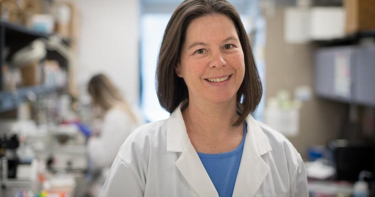 ‘Feasible science fiction’: Toronto researchers team up to advance ...