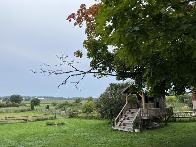 Dog-friendly Prince Edward County: Where to eat, drink and play with ...