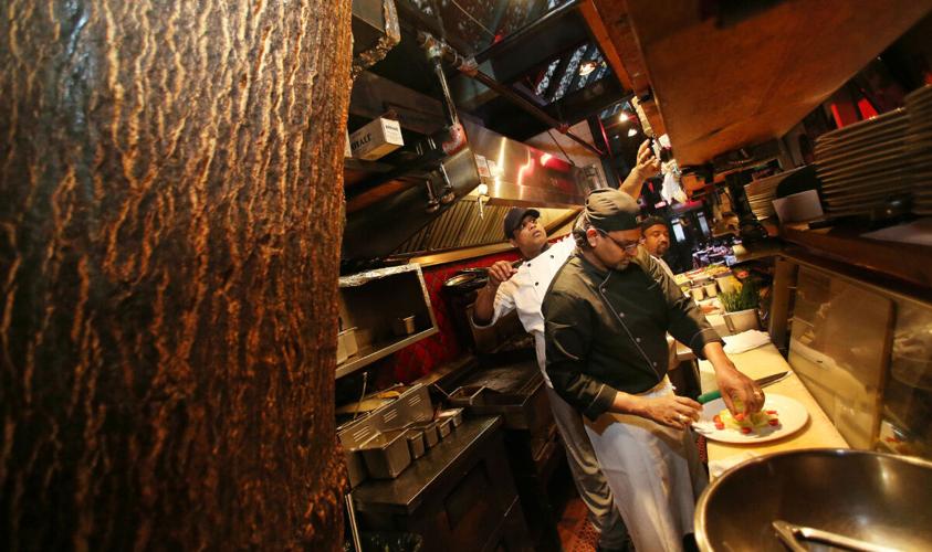 Kit Kat still serving up top-notch Italian amid King St. pilot protests