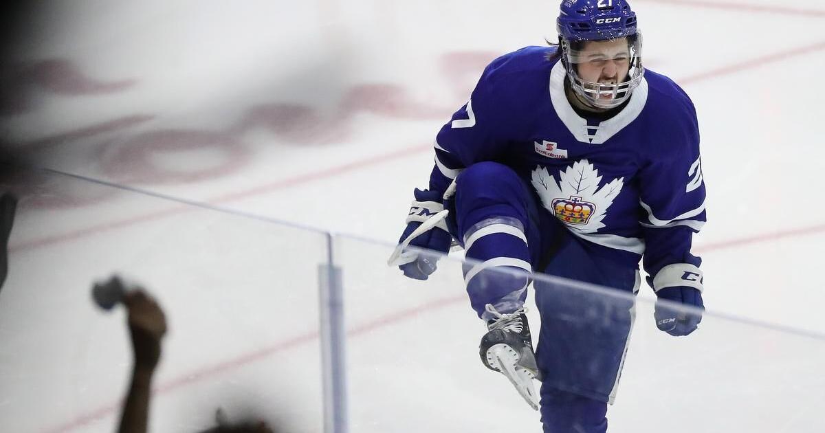 After sitting last spring, Jeremy Bracco helping propel Marlies in AHL ...