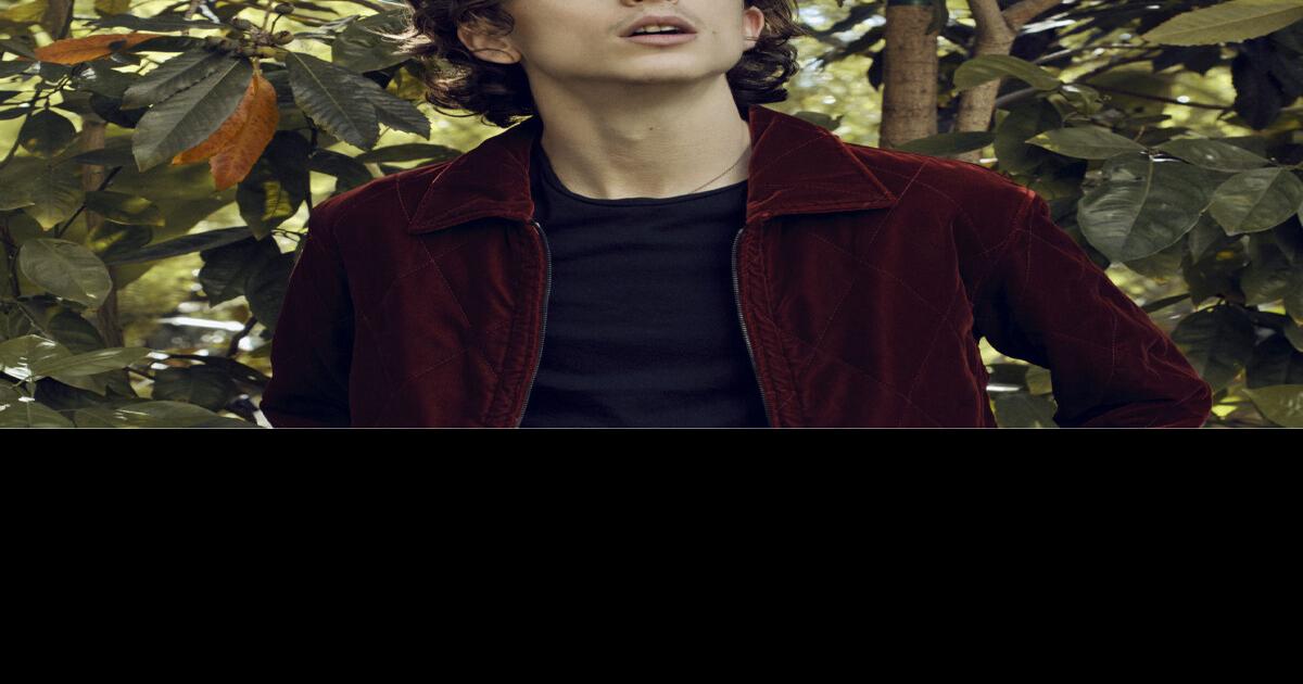 Rising star Timothée Chalamet talks sex scenes, his mother and more