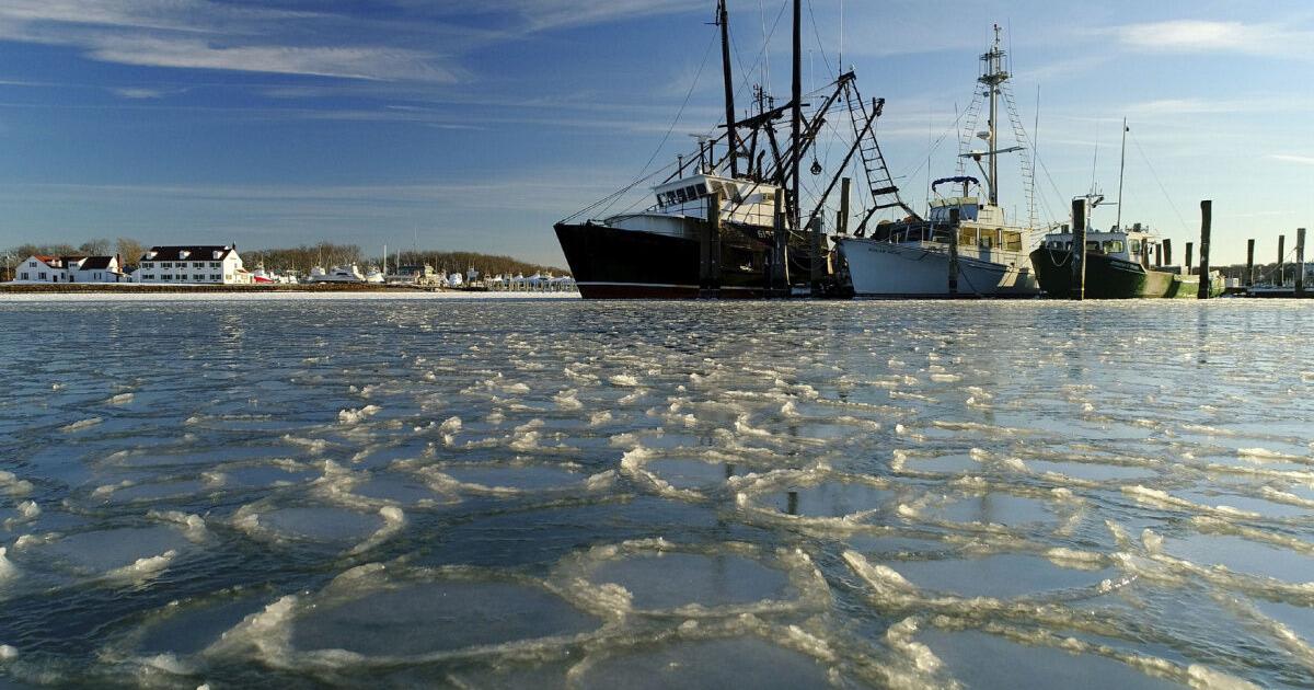Two-week bitter cold snap in Canada, U.S. was a freak of nature, quick ...