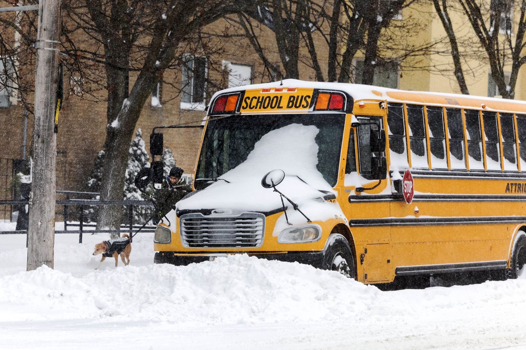 Toronto snowfall warning live: Major commute, travel delays