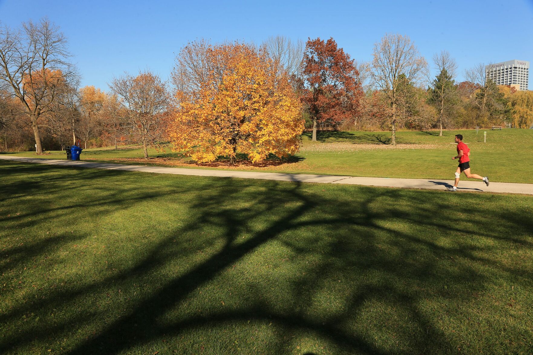 Metrolinx cuts down trees in Toronto park for Ontario Line
