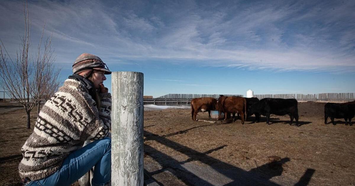 Canadian farmers and ranchers are plotting for a future with less ...