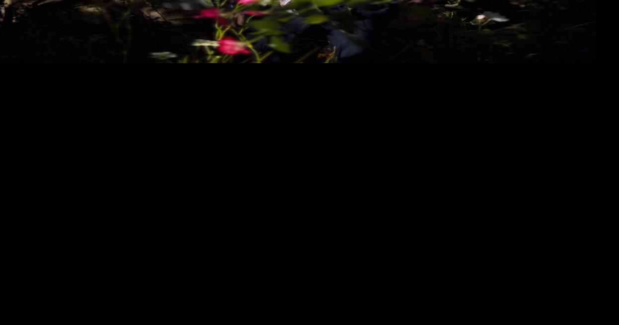 Dr. Jen Gunter on her new book about menstruation ‘Blood’