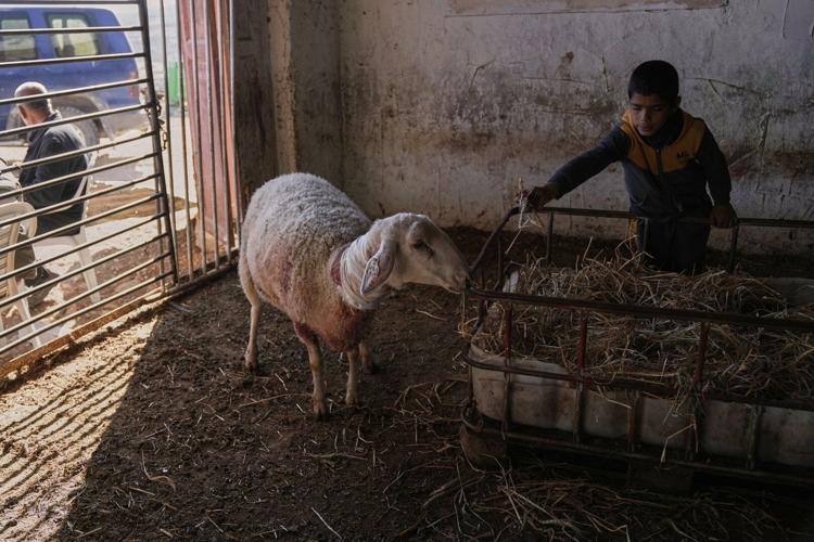Israeli settlers forcibly enter Palestinian home in latest West Bank attack