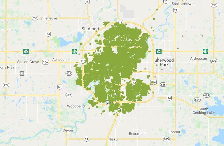 Edmonton woman encourages city-dwellers to forage in the river valley ...