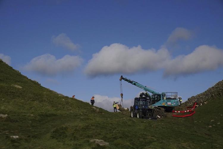 Crane removes famous tree by Hadrian's Wall in England that was cut ...