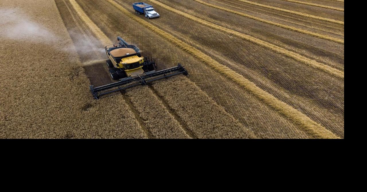 Major water users in southern Alberta agree to curb consumption in face ...