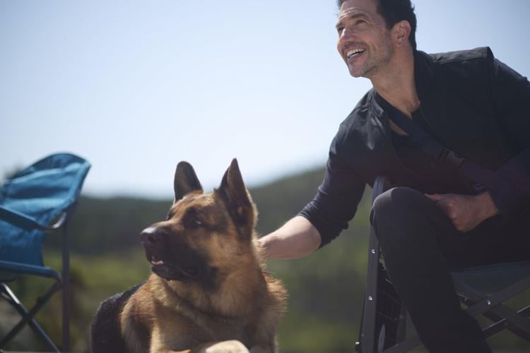 How the new Hudson won over Rex on Hudson & Rex