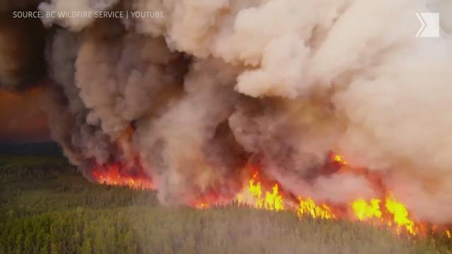 B.C. wildfire crews battle blaze in ancient forest park with 1,000-year ...
