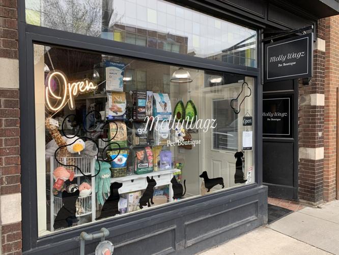 From paw massages to puppucino bars, here's where Toronto dogs get pampered
