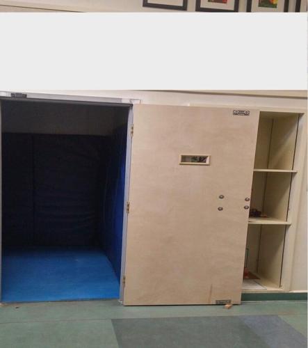Province releases new standards to prevent misuse of seclusion rooms at ...