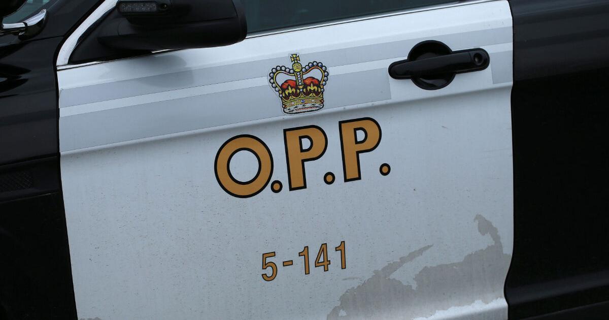 Ex-OPP union officials charged with fraud, laundering after RCMP probe