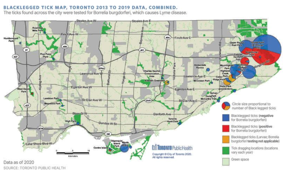 Ticks in Ontario: How to protect yourself and your pets