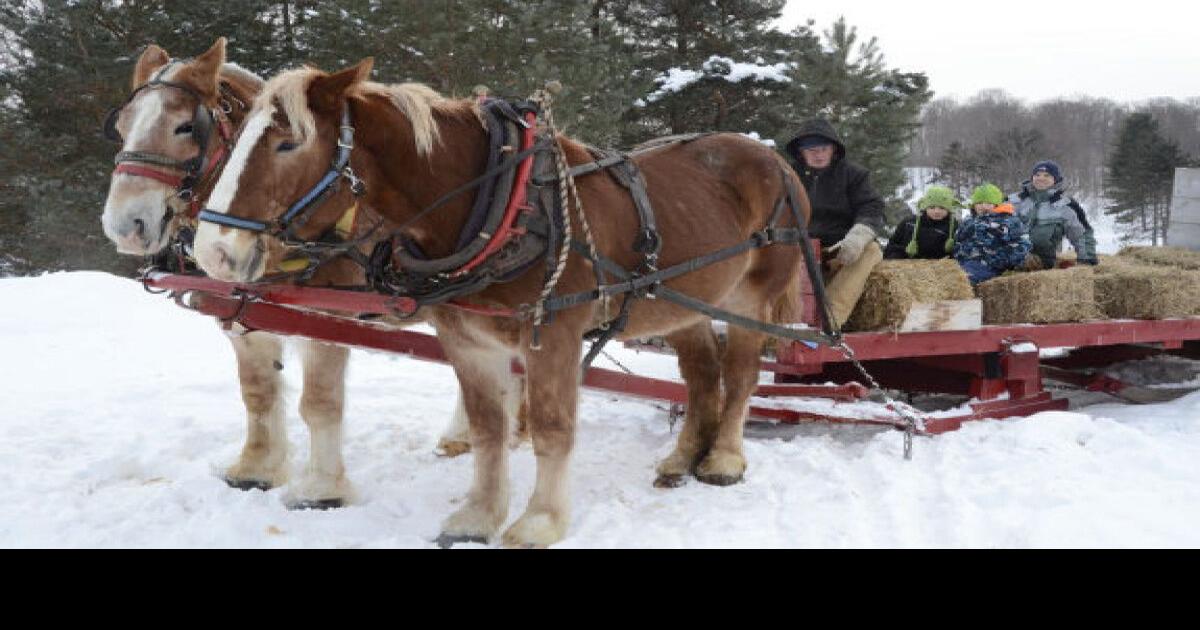 Ontario Highlands: Finding family time in wintery rural landscape