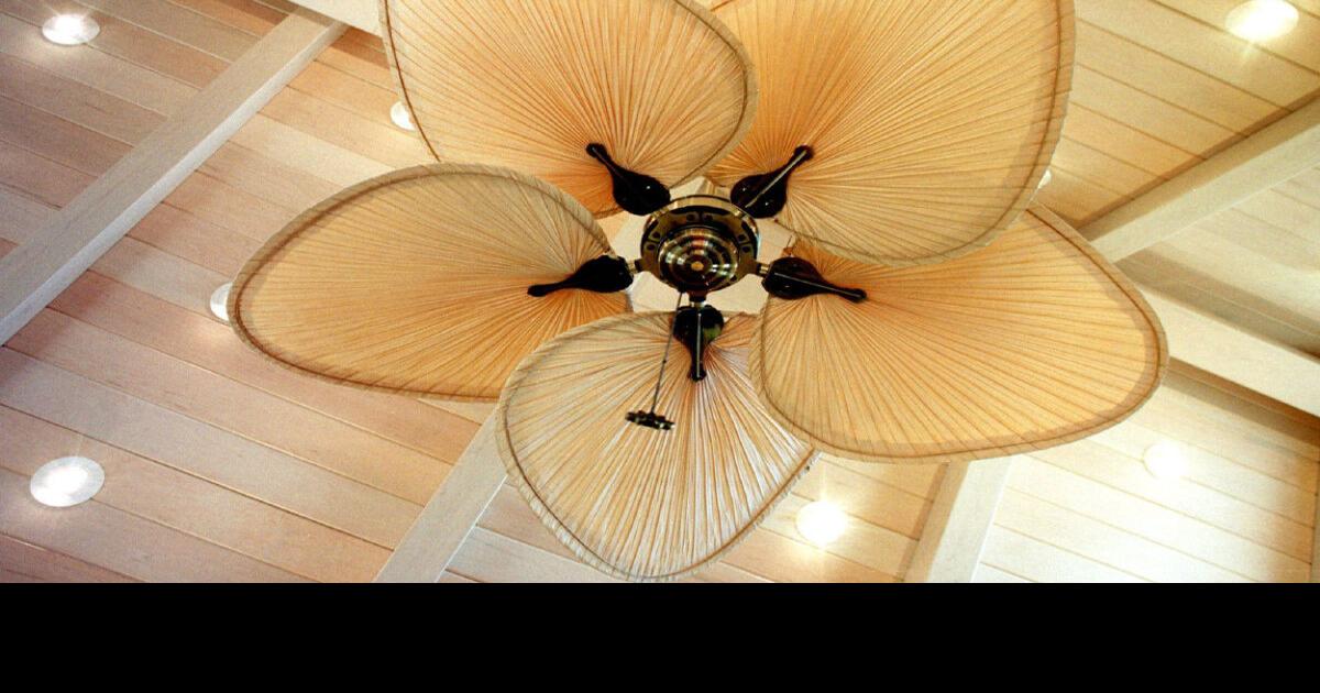Blades of the first ceiling fans made of palm fronds: Home Ed