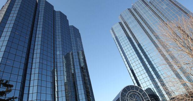Mirrored towers a fatal attraction to birds