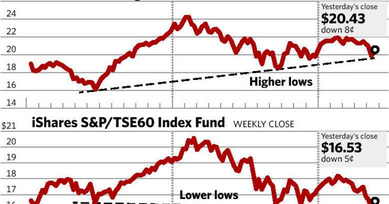 Navigating the ETF jungle