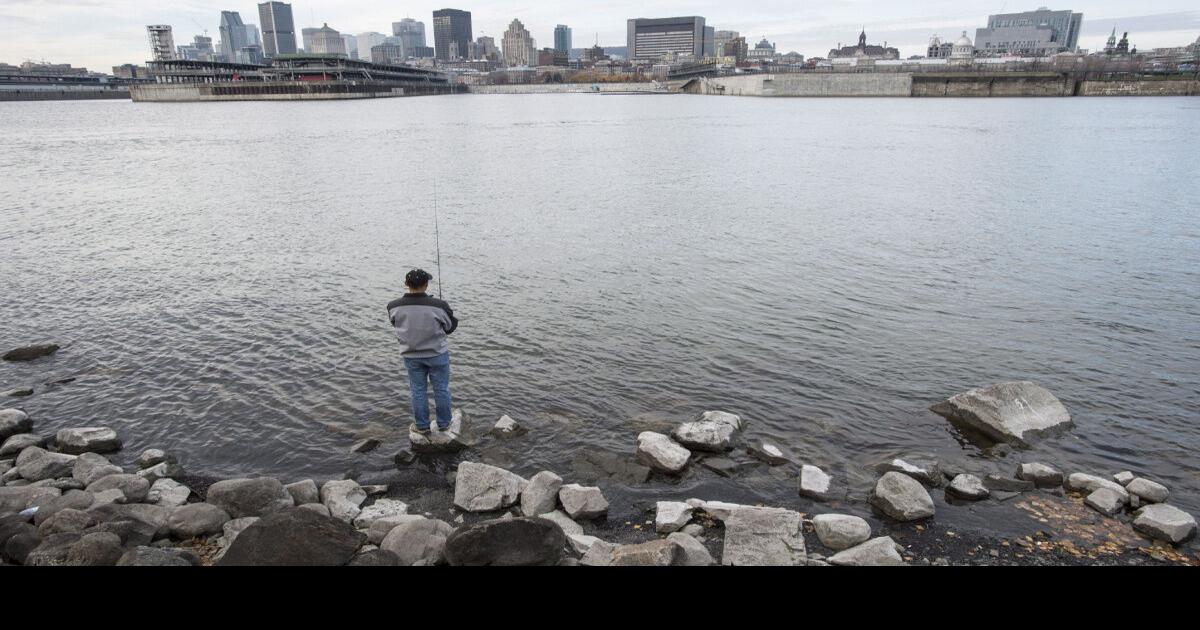 Montreal sewage dump now underway is necessary, mayor says