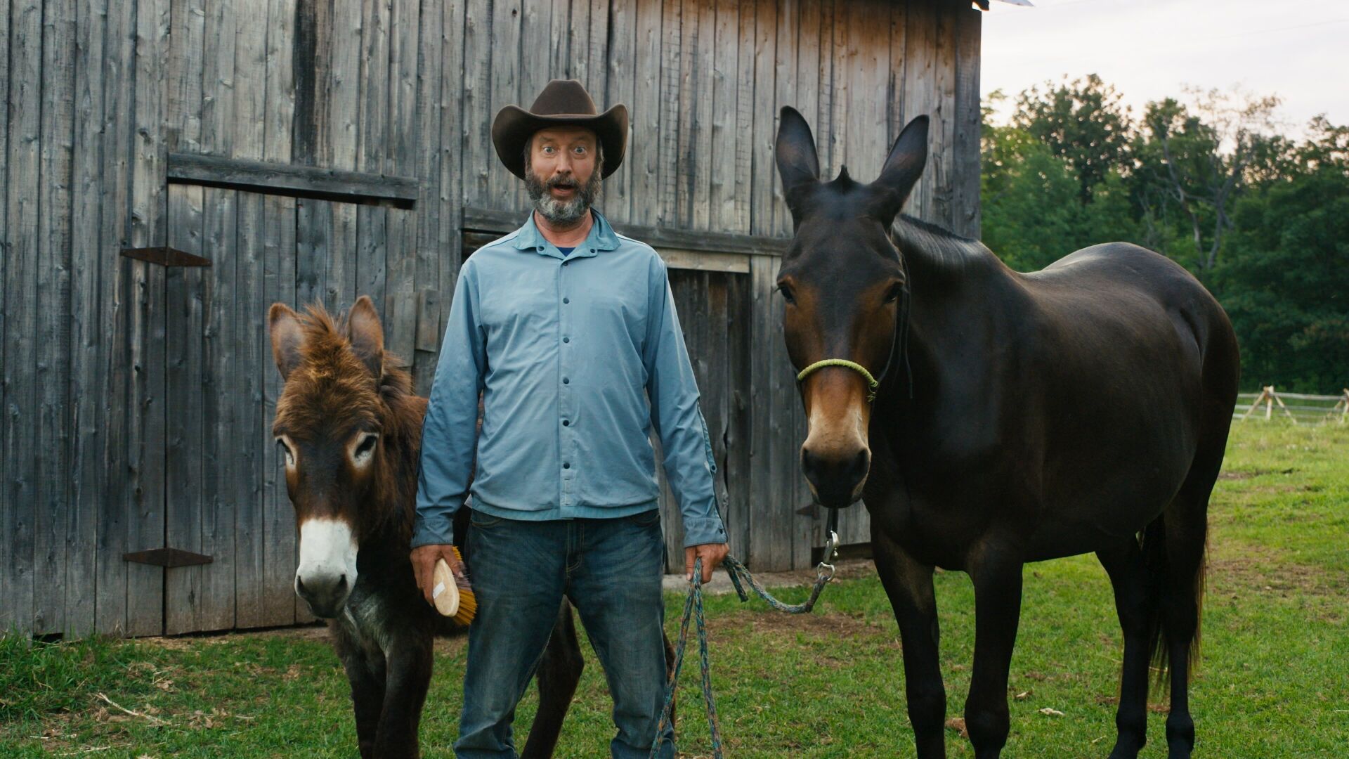 Tom Green returns with new doc, reality show, comedy special