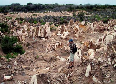 phosphate mining island