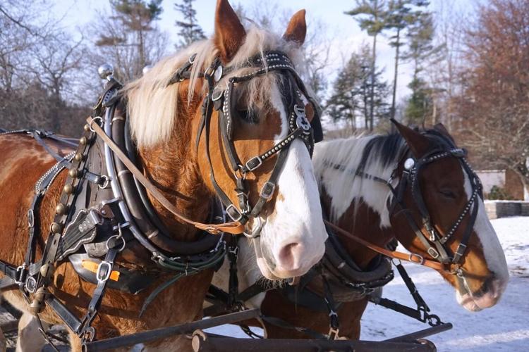 Experience a Hallmark-worthy holiday in this historic city — the ...