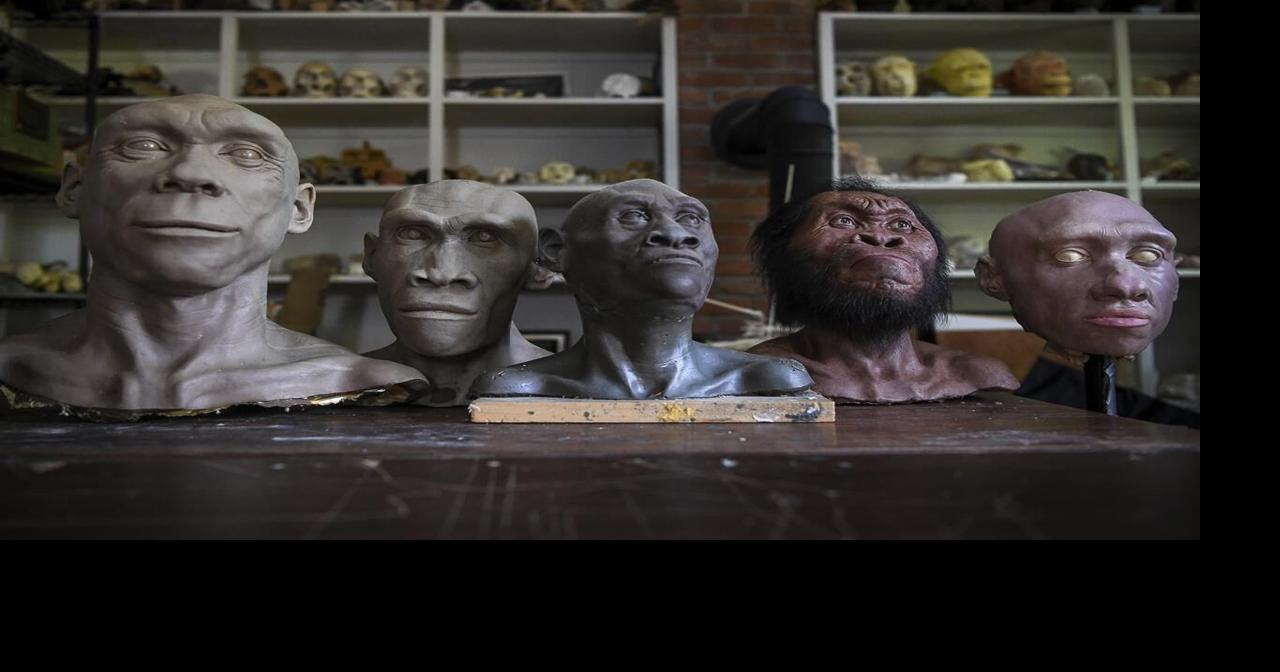 Science paints a new picture of the ancient past, when we mixed and ...