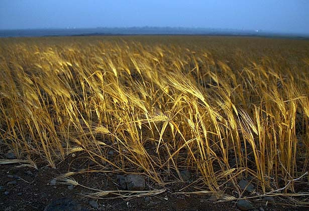 The man who fought the 'neo-Luddites'