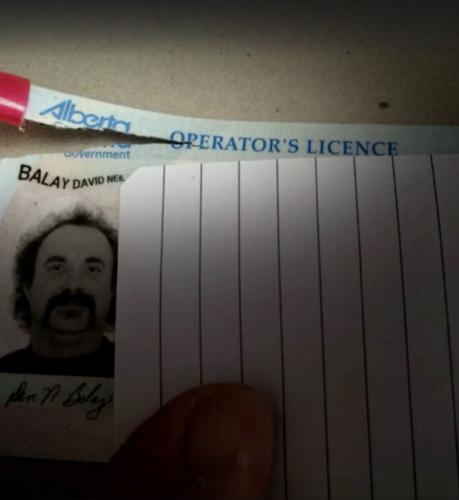 Alberta man gets $465 ticket for torn licence